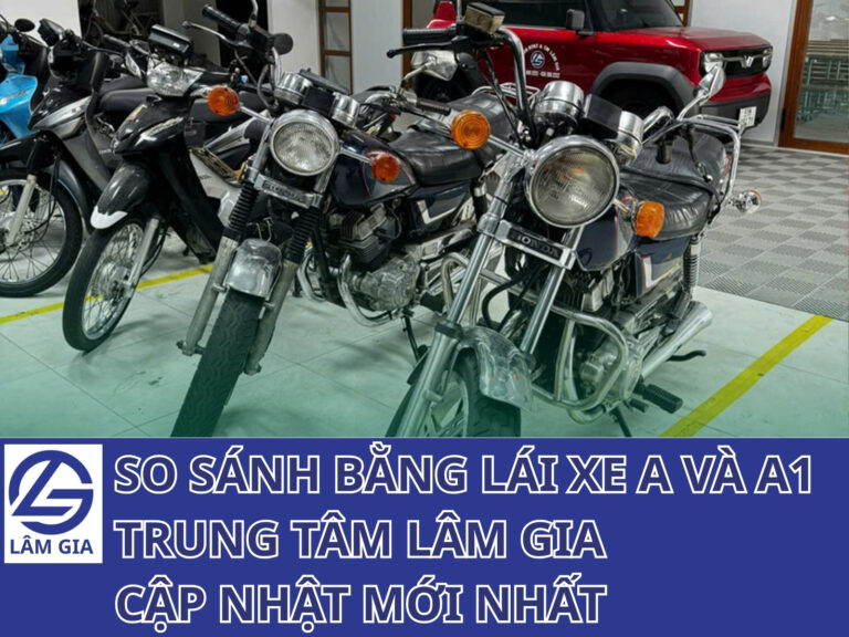 So sánh bằng lái xe A và A1 | Trung tâm Lâm Gia